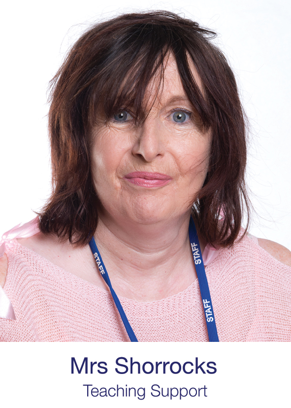 Meet The Staff | Staining School